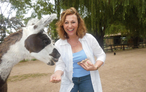 Monica and llama | Pet Communicator